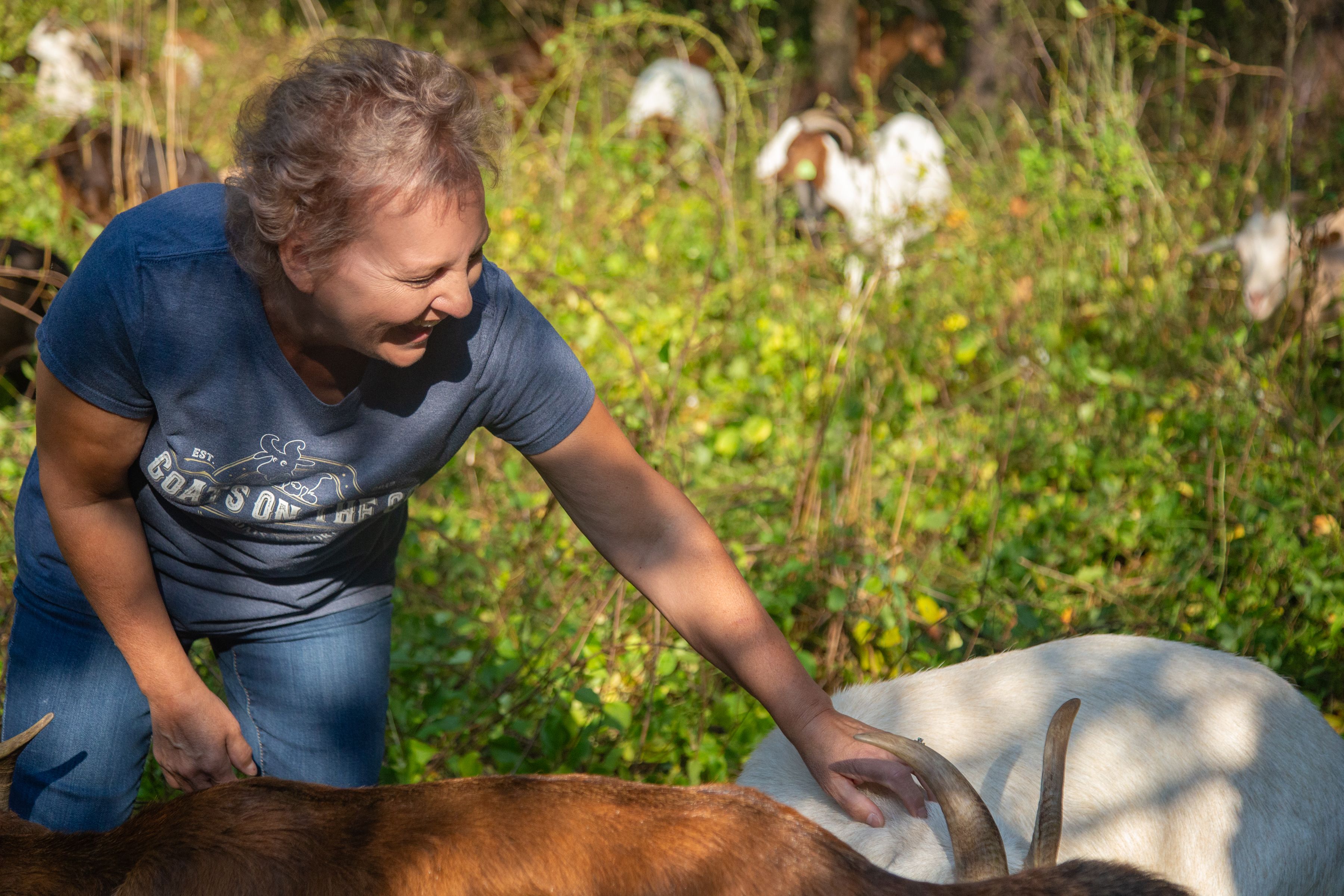 Goats, grazing and a ‘leap of faith’: Meet Goats on the Ridge ...