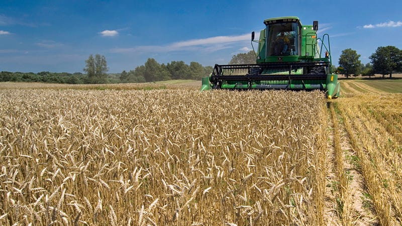 Are your grain marketing strategies paying off? - Michigan Farm News