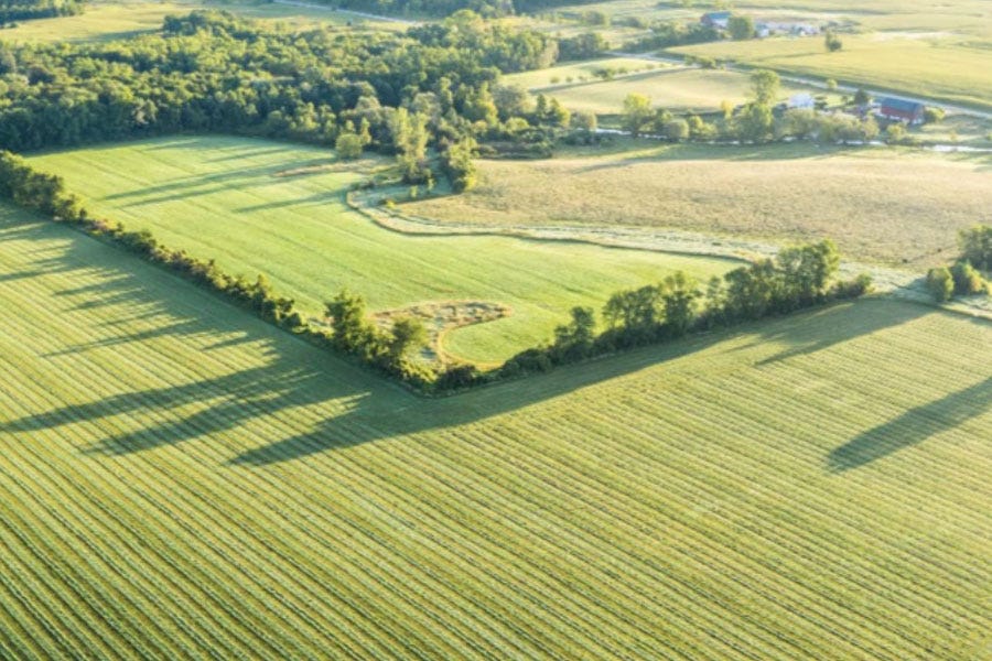 Home Page - Michigan Farm News