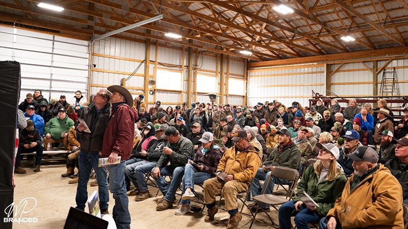 March bull sale is a success for Michigan Cattlemen's Association ...