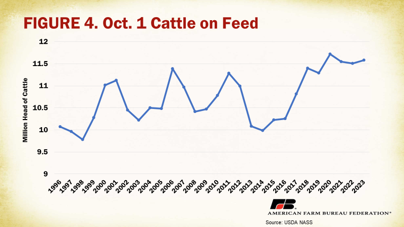 Cattle market volatility increasing risk for farmers, may lead to ...