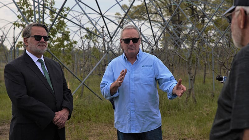 Samba wasps are another tool for blueberry, cherry growers to reduce ...