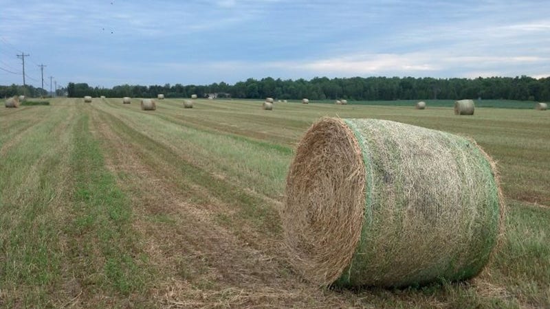 USDA projects record-low hay acreage for Michigan in 2025 - Michigan ...
