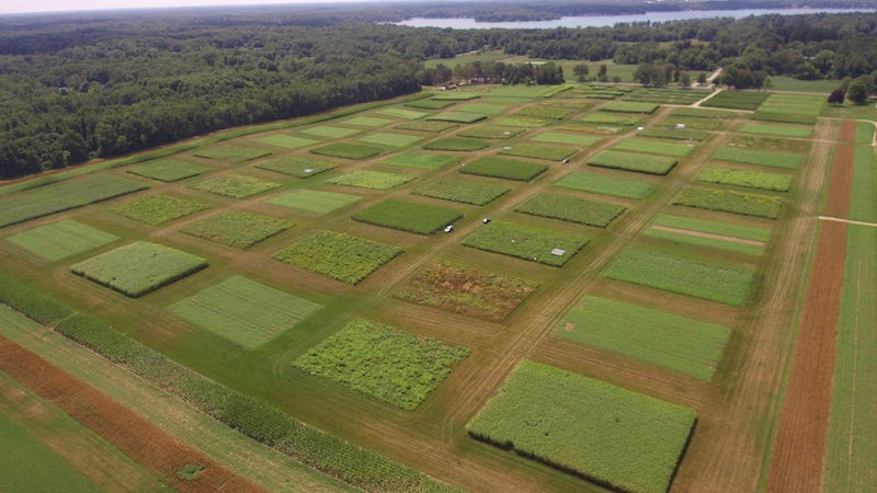 'A great opportunity' — Register now for MSU's Kellogg Biological ...