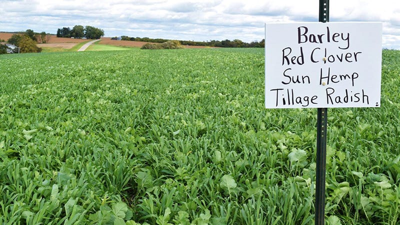 USDA revises crop insurance ‘Good Farming Practices’ to include NRCS ...