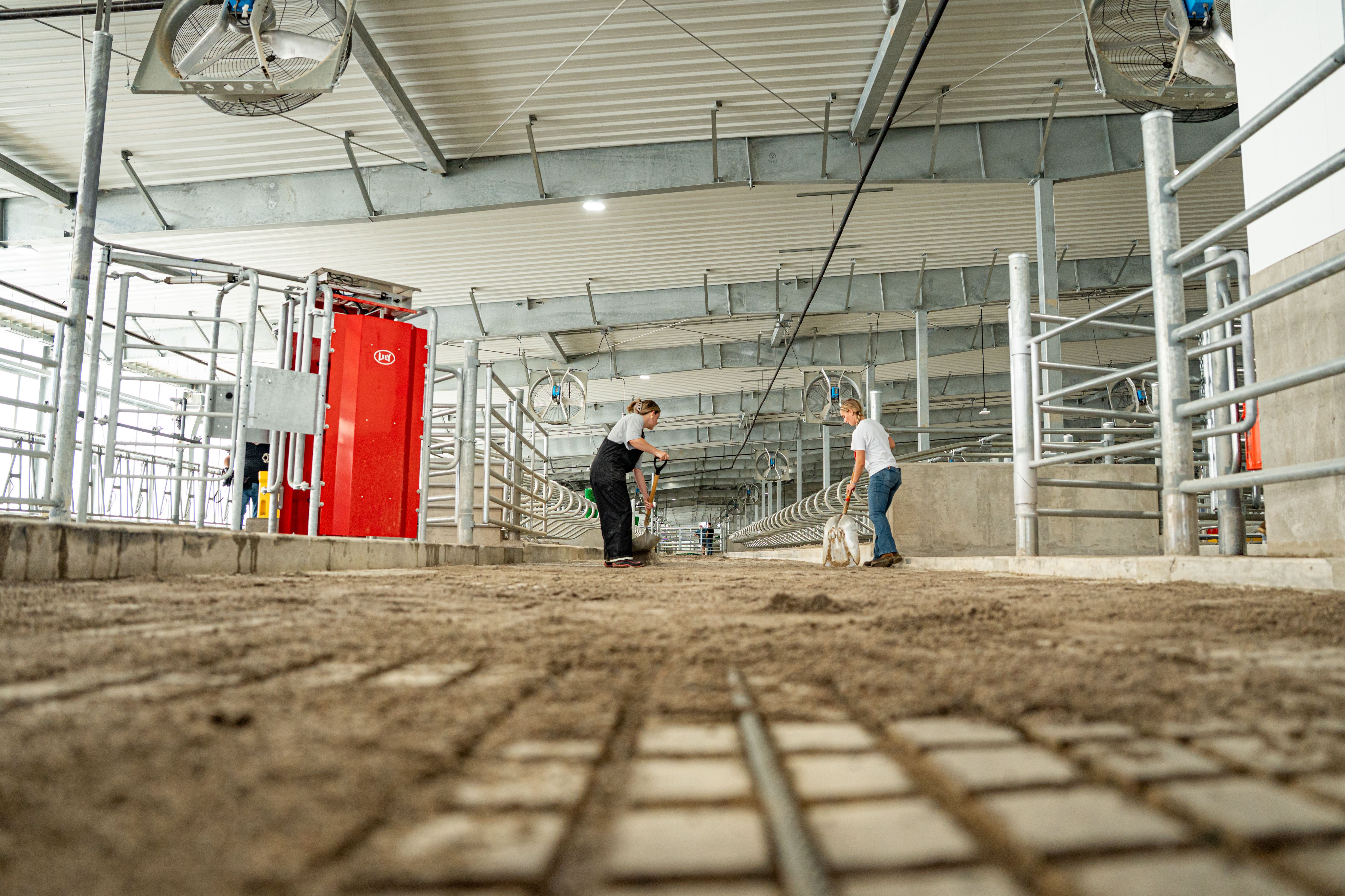Moo-ve-in day: New MSU Dairy Cattle Teaching and Research Center ...