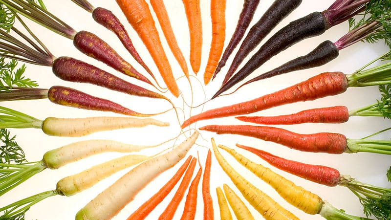 Can genetic detective work supercharge carrots and onions? - Michigan ...