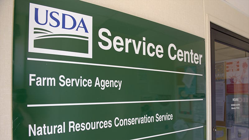 USDA designates 15 MI counties as natural disaster areas, including ...