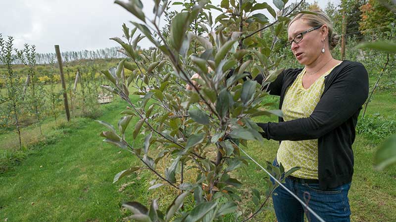 New farm manager named at MSU Northwest Michigan Horticulture Research ...
