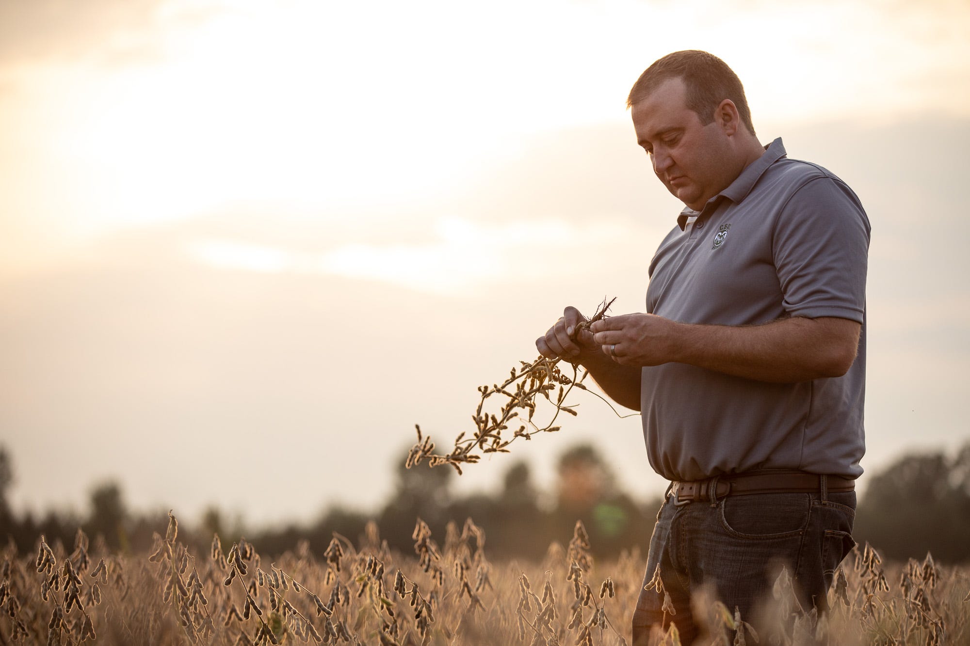 Coping with the realities of mental health, stress on the farm ...