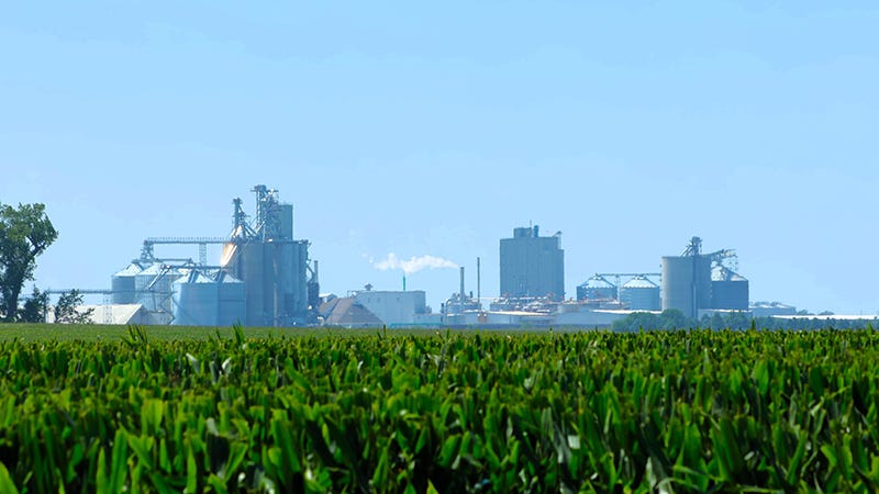 'New markets for Michigan farmers' — lawmakers push for decade-long ...