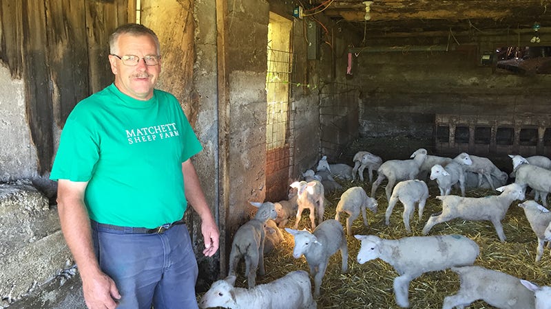 Colleagues, friends remember Charlevoix shepherd Tim Matchett: 'I knew ...