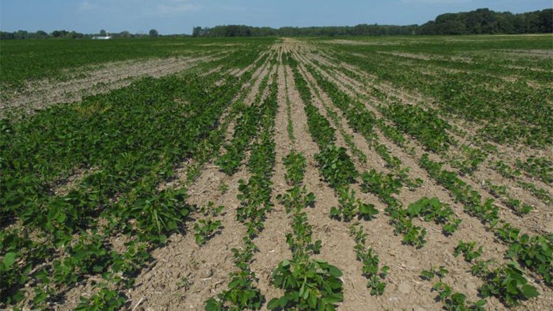 Harvest recommendations for soybean fields with variable maturity ...