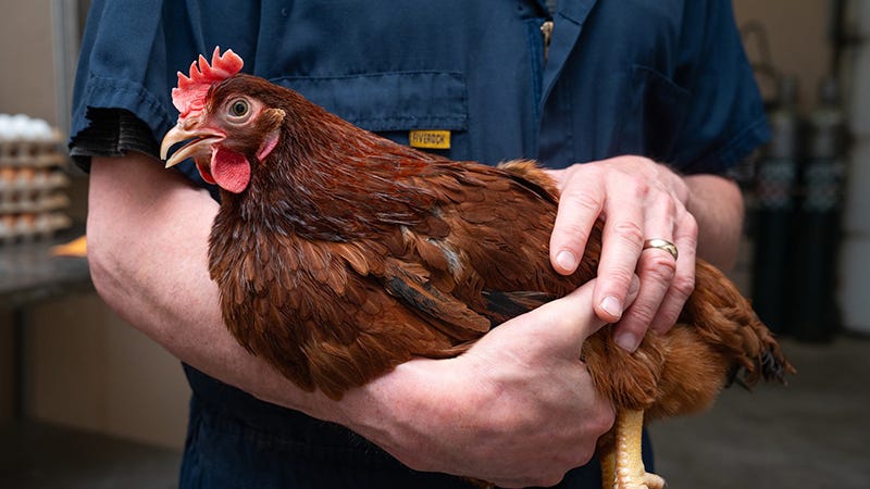 Big Bud is back with a new 640 model for 2023 - Michigan Farm News