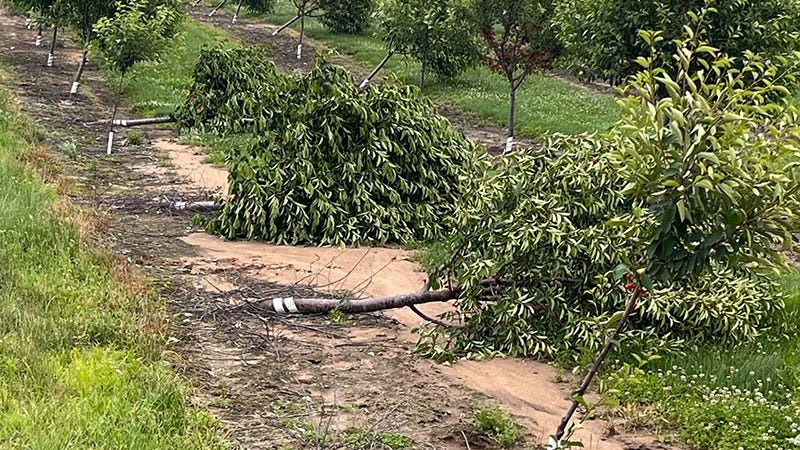 Powerful storm leaves ‘another level’ of damage in its wake, wreaks ...