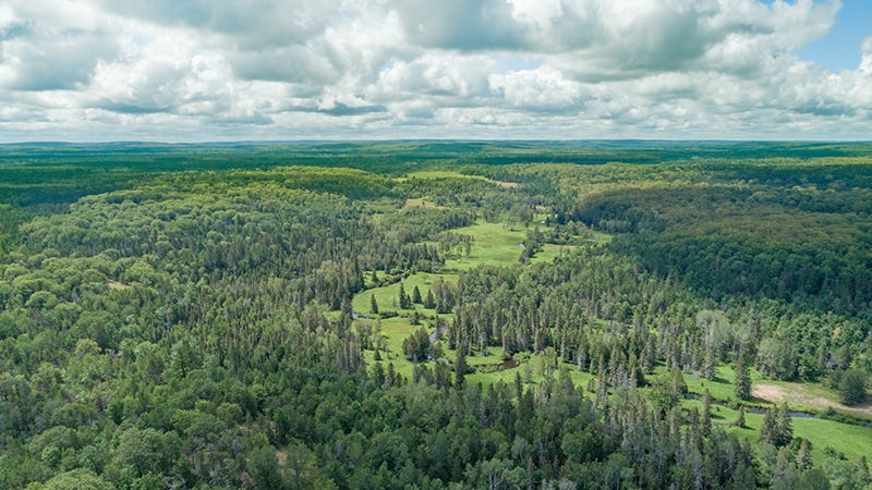 Markets - Michigan Farm News