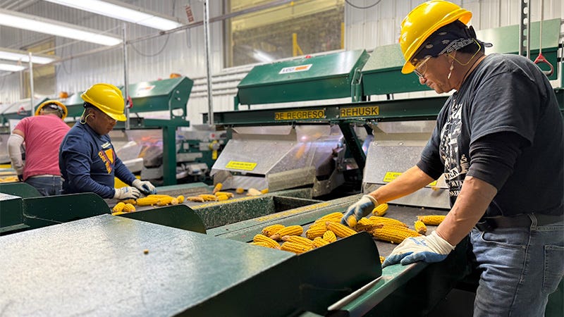 A Day in the Life: Inside Bayer’s largest seed corn production facility ...