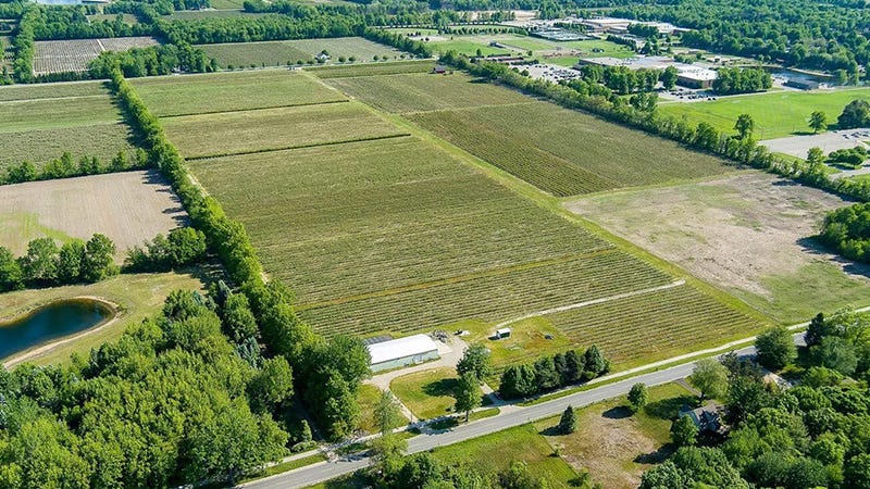 Michigan cropland values jump 11.3%, cash rent virtually unchanged ...