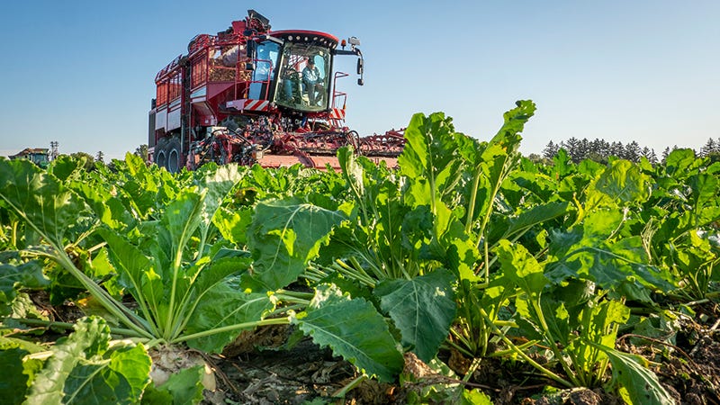 Average Michigan farmland rental values range from $20 to $317 per acre ...