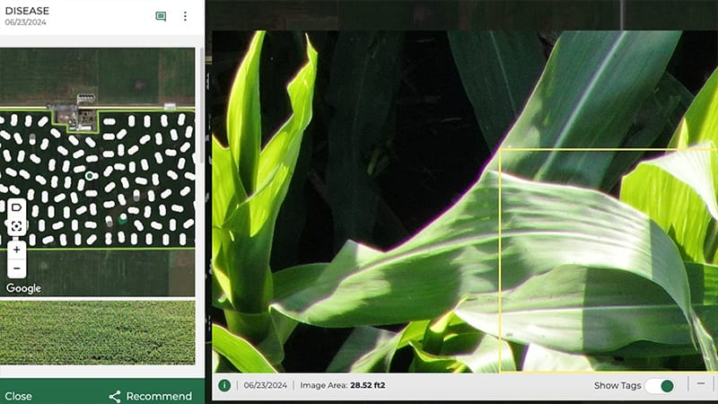 'Leaf-level' AI-powered agronomy on tap through new Syngenta and ...