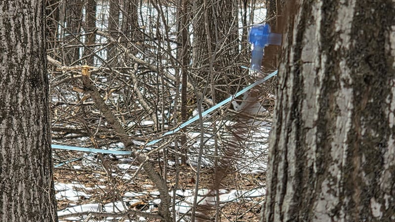 SBA grants disaster declaration request, relief for northern MI ...