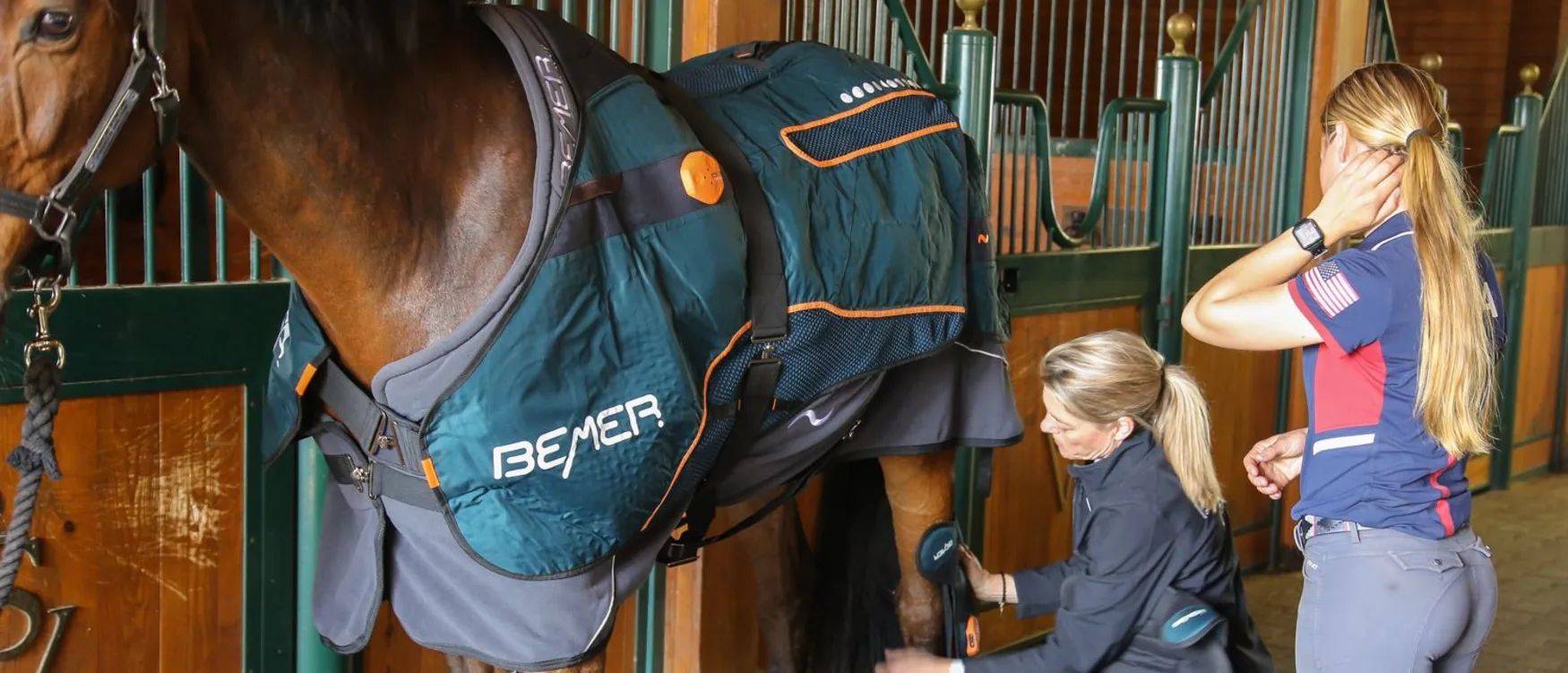 Help your horse combat chronic pain with proven pain management ...