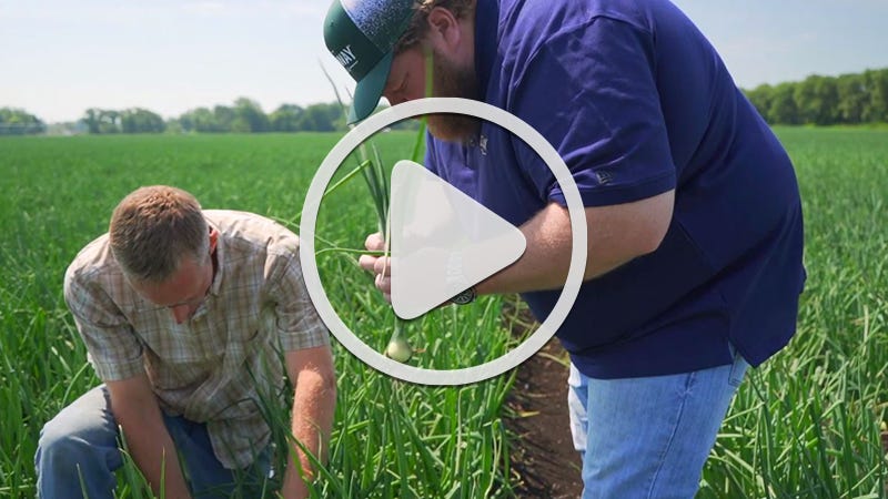 Meet your 2022 Master Farmer awardee: Brink Muck Farms - Michigan Farm News