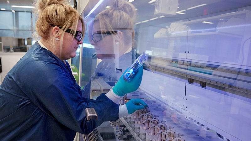 Corteva’s $145 million Michigan expansion targets natural insecticide ...