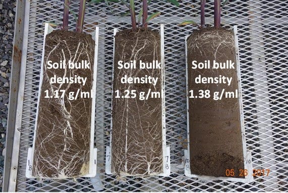 Soil compaction challenges in 2020 crop production - Michigan Farm News
