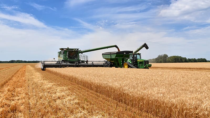 Big Michigan wheat acres vs. low prices: Consider 2026 Great Lakes ...