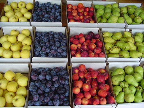 Free training, certification for fresh produce growers on FDA’s Produce ... Free training, certification for fresh produce growers on FDA’s Produce ...