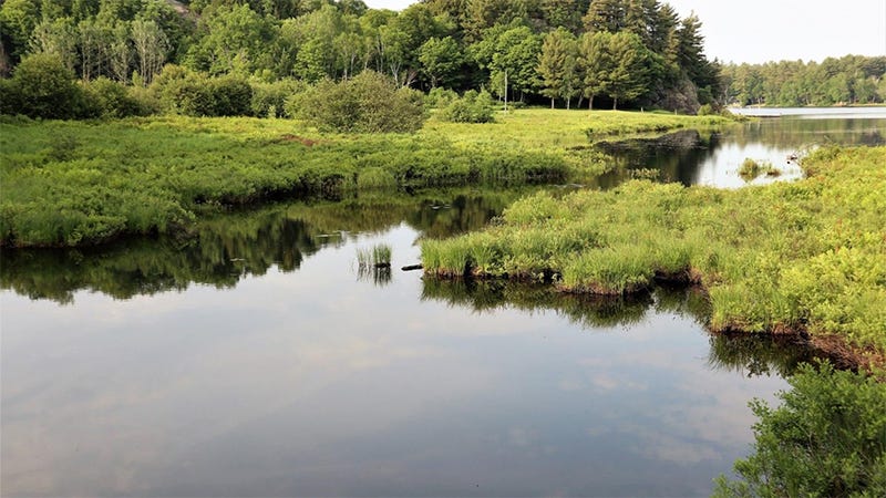 Determining how effective NRCS conservation practices are at protecting ...