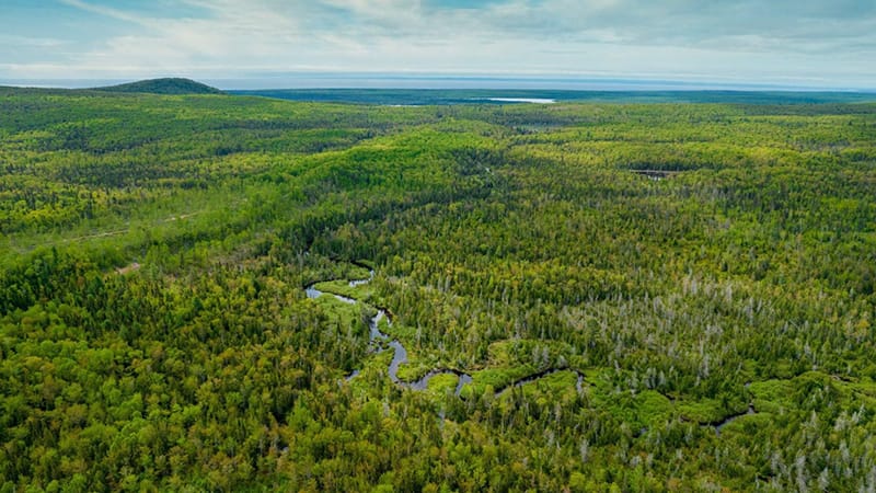 Foreign ag land ownership jumps more than 28% in Michigan, says USDA ...