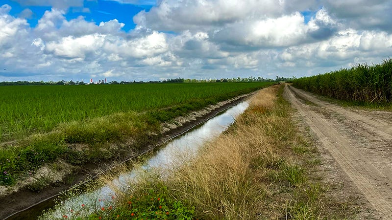 Here's what the Food and Agriculture Climate Alliance is recommending ...