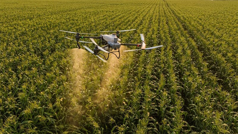 Out of sight: Drone regs could be loosened to 'unleash American ...