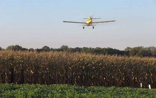 Interseeding cover crops into standing cash crops - Michigan Farm News