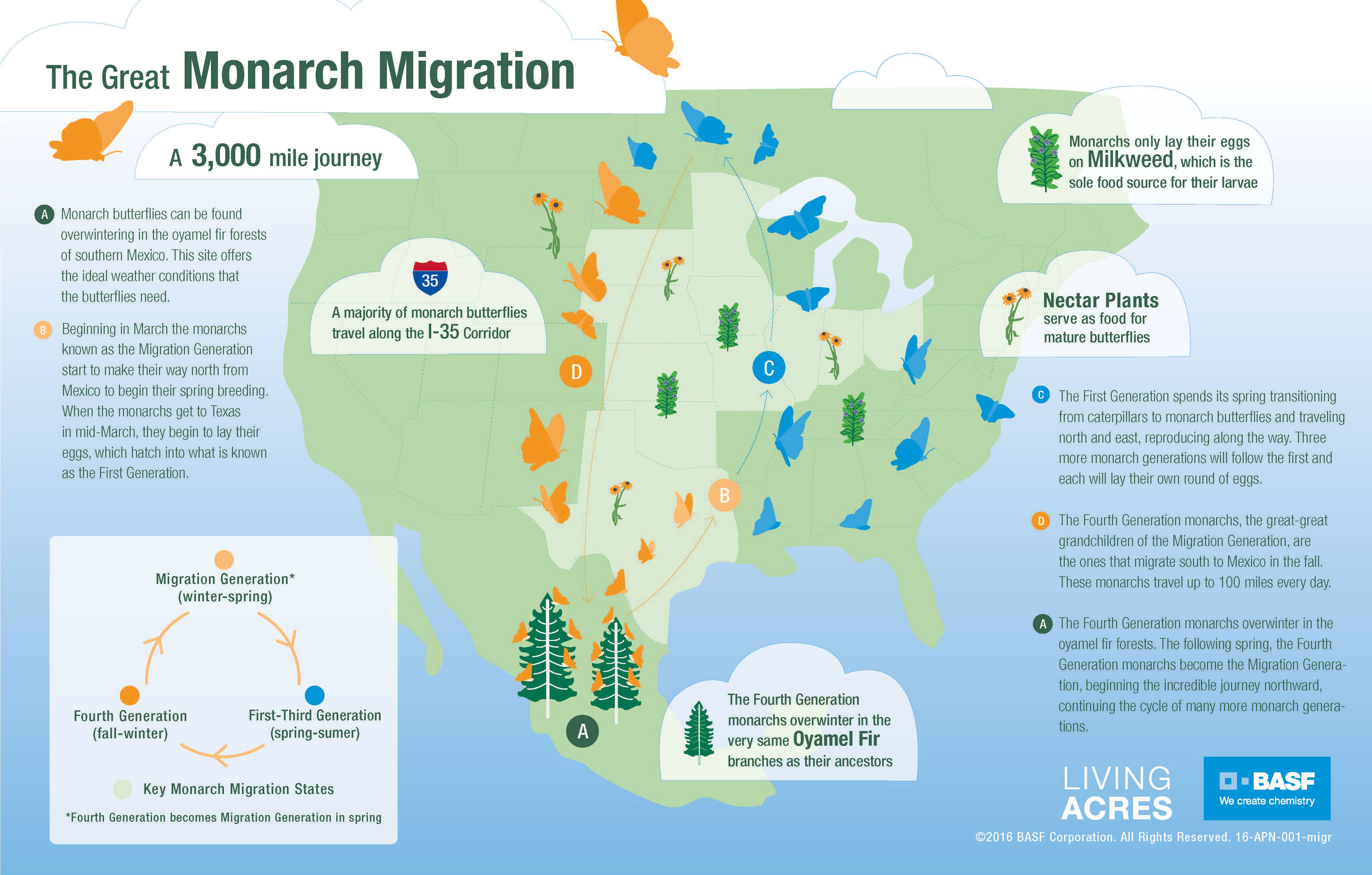 Monarch butterfly population - why should you care? - Michigan Farm News