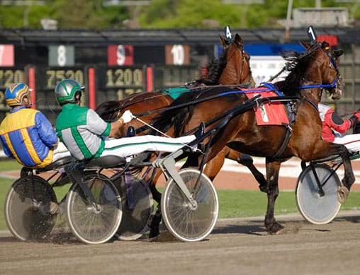 Hall of Fame inducts Fowlerville racer - Michigan Farm News