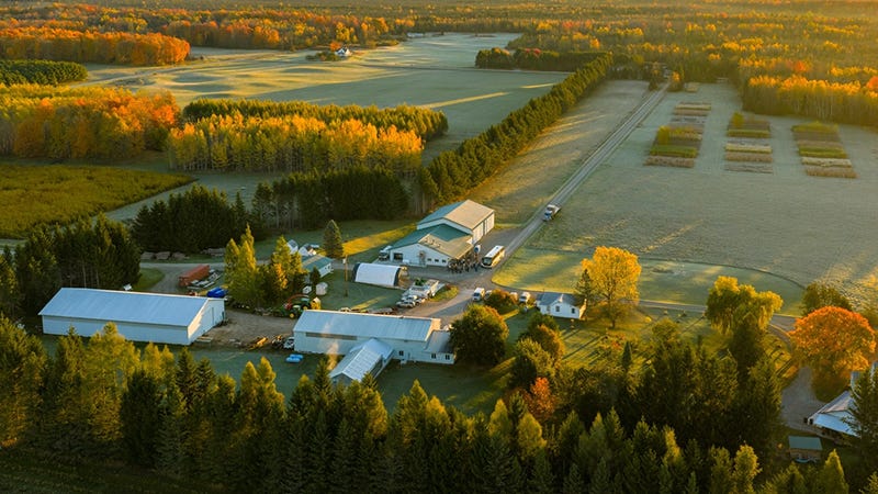 Michigan Sugar Company begins 2025 sugarbeet harvest - Michigan Farm News