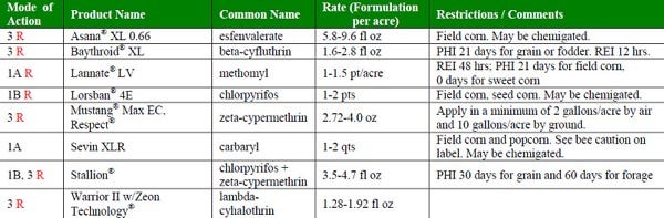 Plan to scout for corn rootworm - Michigan Farm News