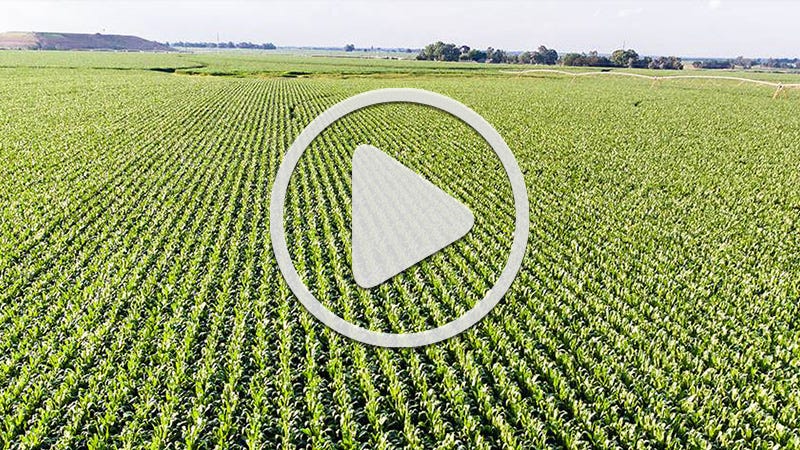 Tackling soil-bound phosphorus: Corteva’s Utrisha P - Michigan Farm News Tackling soil-bound phosphorus: Corteva’s Utrisha P - Michigan Farm News