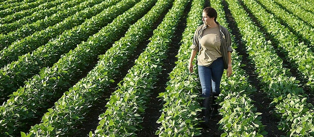 Corteva sweetens the pot for its carbon program - Michigan Farm News